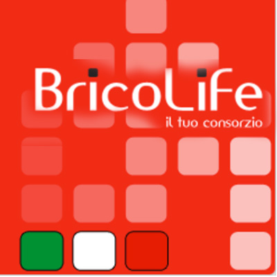 bricolife | DIYandGarden.com