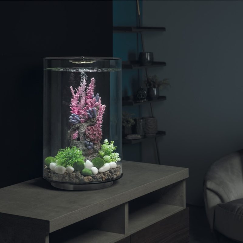 OASE – Living Water | DIYandGarden.com