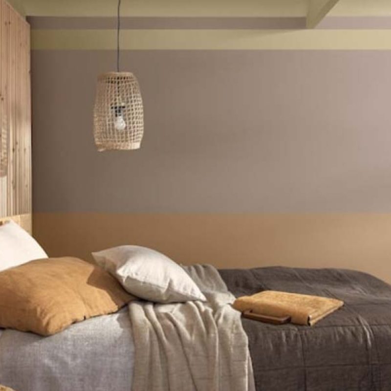 Akzo Nobel e il colore dell'anno 2023 | DIYandGarden.com